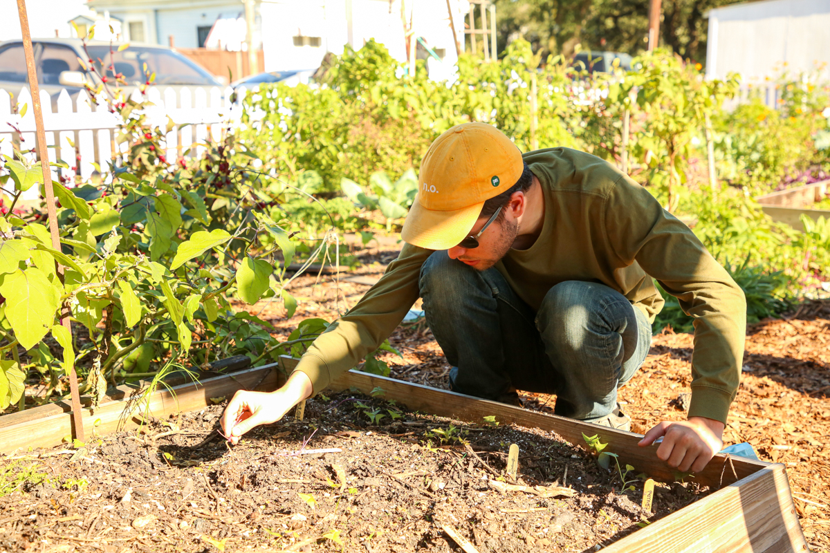 Our Story - Dragonfly Café - Learn More About Our Cafe