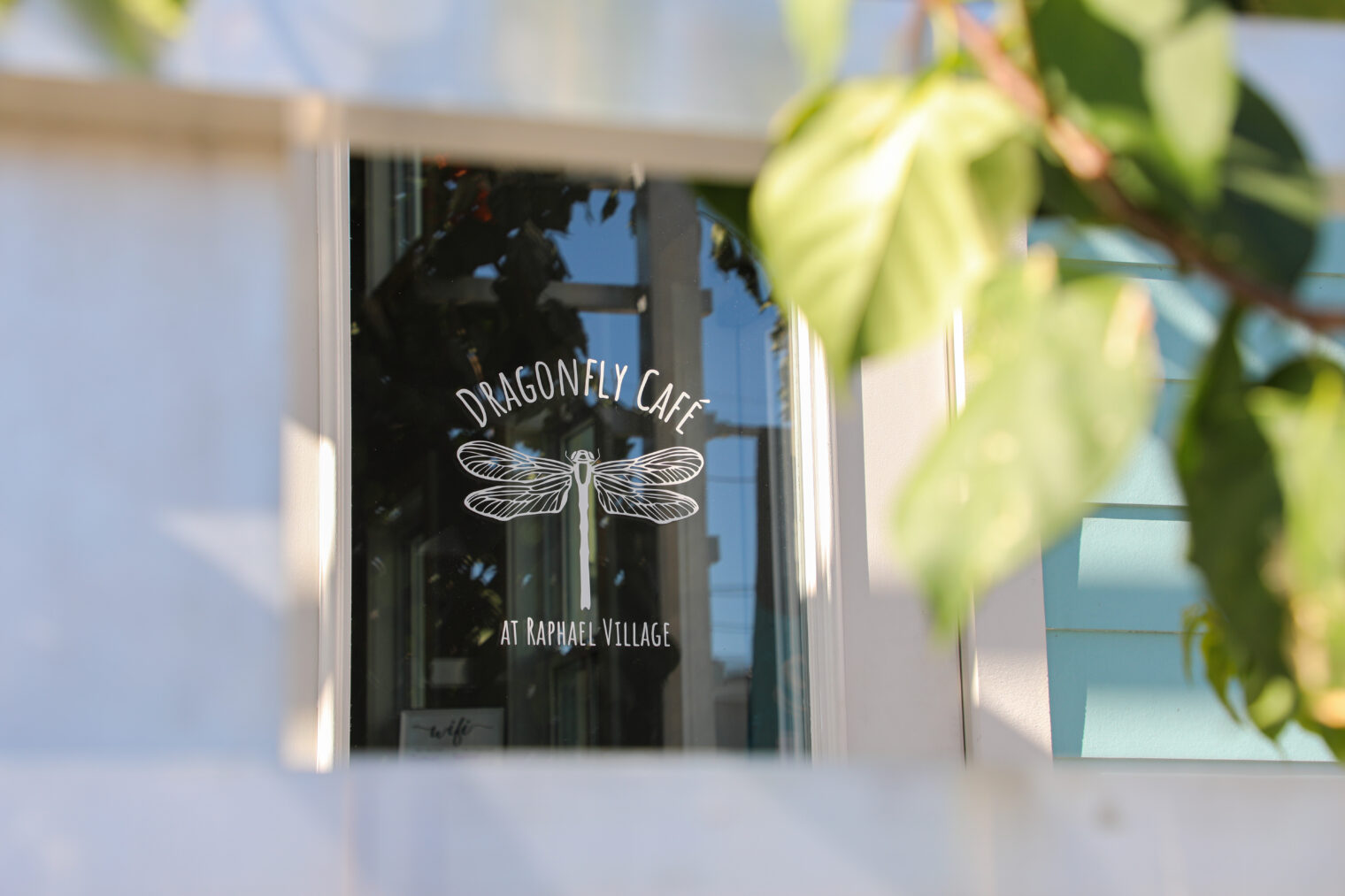 Our Story - Dragonfly Café - Learn More About Our Cafe